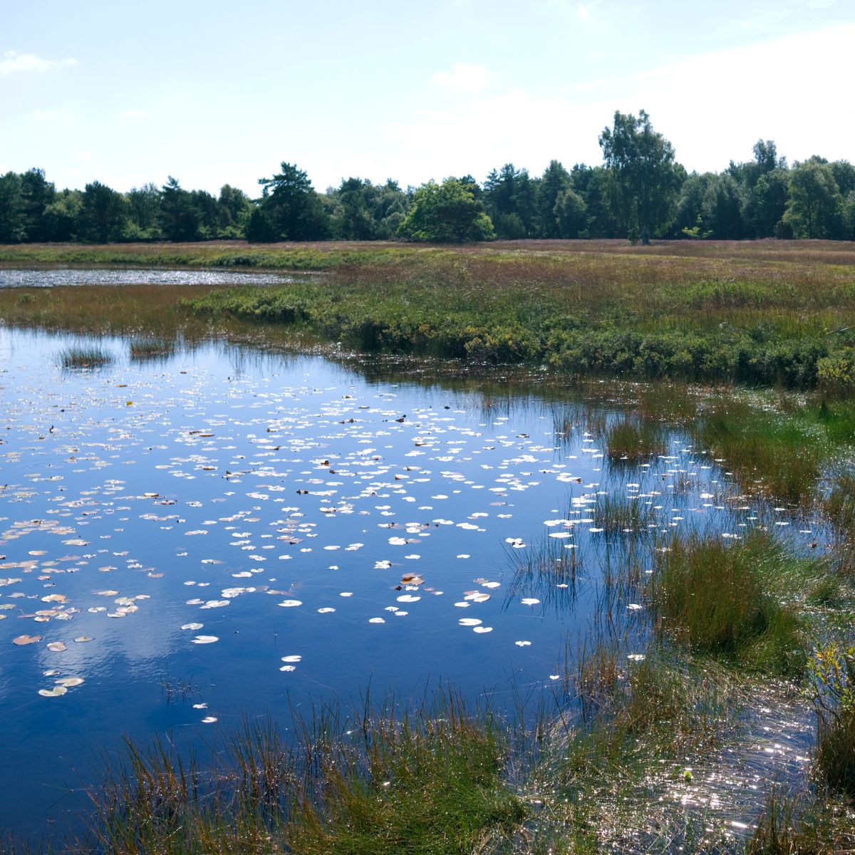 Seværdigheder og Top Attraktioner i Hadsund | holiiday.com