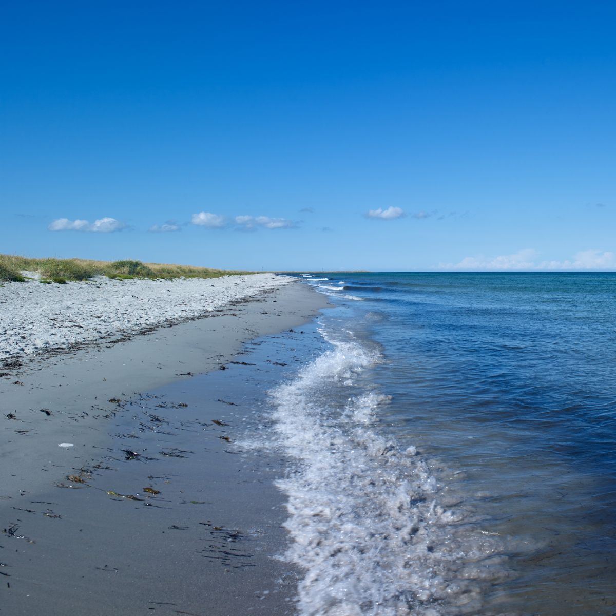 Seværdigheder og Top Attraktioner i Hals | holiiday.com